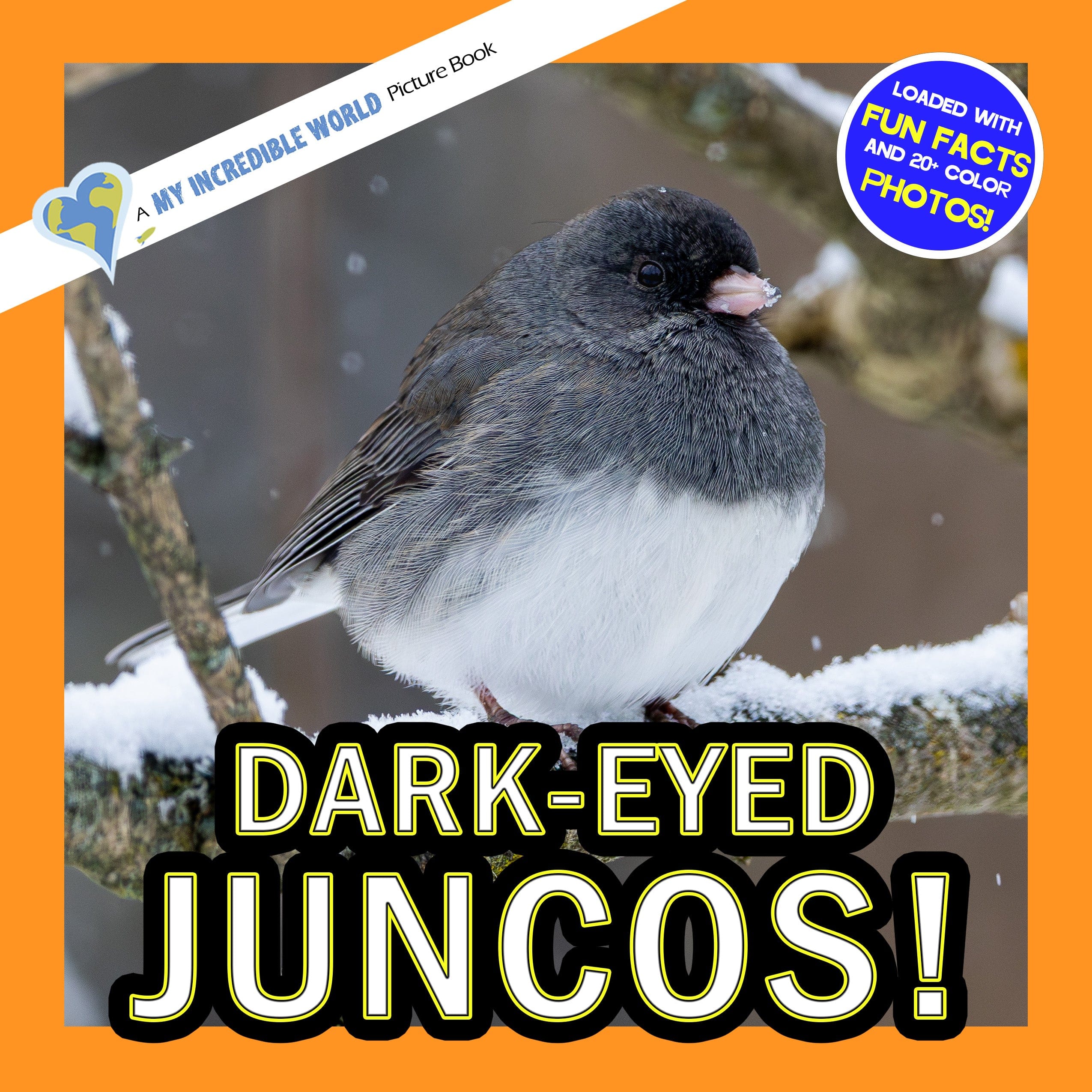 Dark-Eyed Juncos! A My Incredible World Picture Book for Children