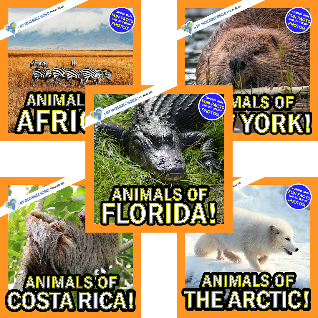 Kid's Books About Animals Around the World – My Incredible World